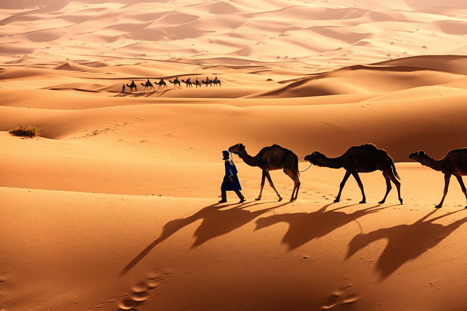 Sahara Desert: World's largest hot desert rivals US in size - The Sudan ...