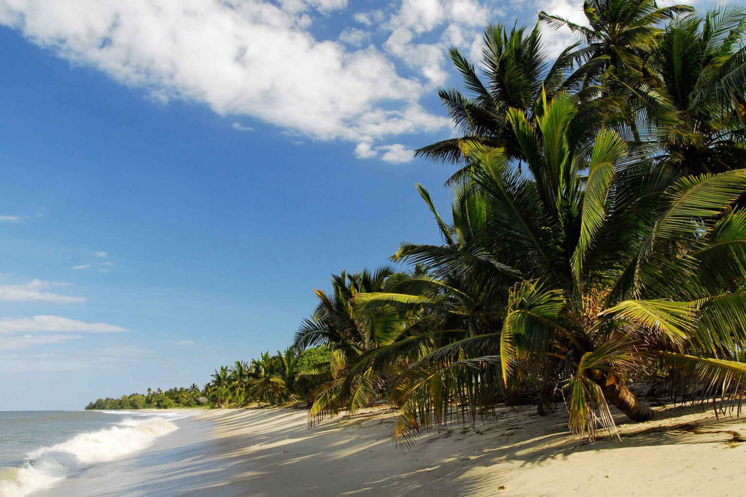 Sofala: The golden gateway of the Swahili Coast - The Sudan Times