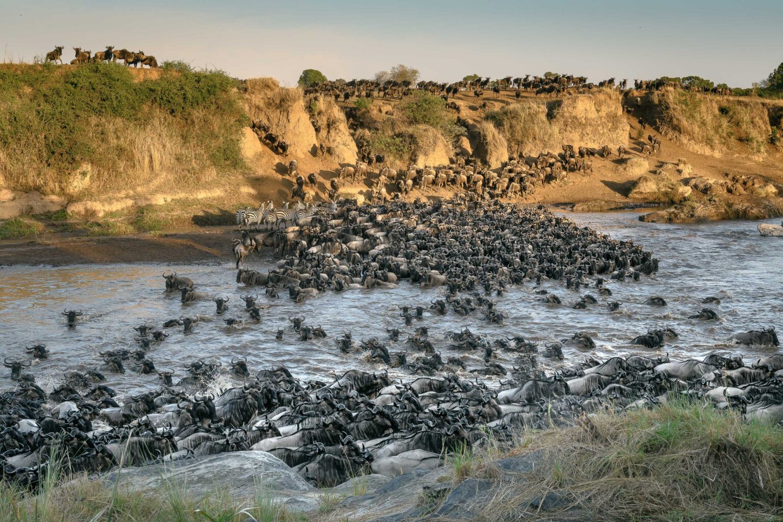Africa’s Great Migration: Largest animal movement visible from space ...