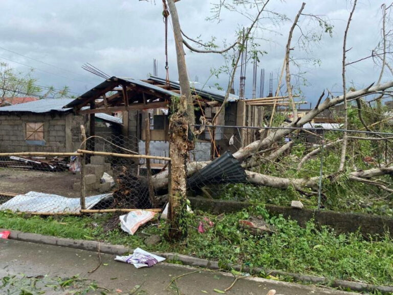 Harmattan winds could disrupt Ivory Coast cocoa
