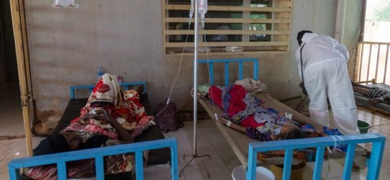 Dengue cases rise in Nyala as six new infections confirmed - The Sudan ...