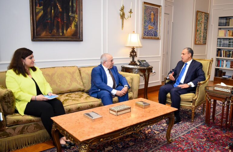 Egypt FM meets UN envoy to address Sudan conflict