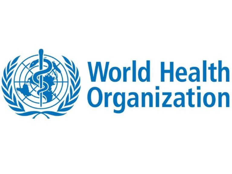 WHO documents 201 attacks on health facilities amid Sudan war - The ...